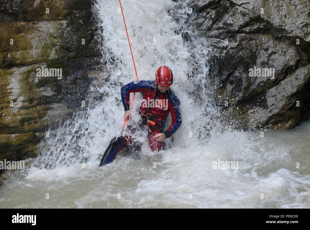 Garmisch partenkirchen cow hi-res stock photography and images - Alamy