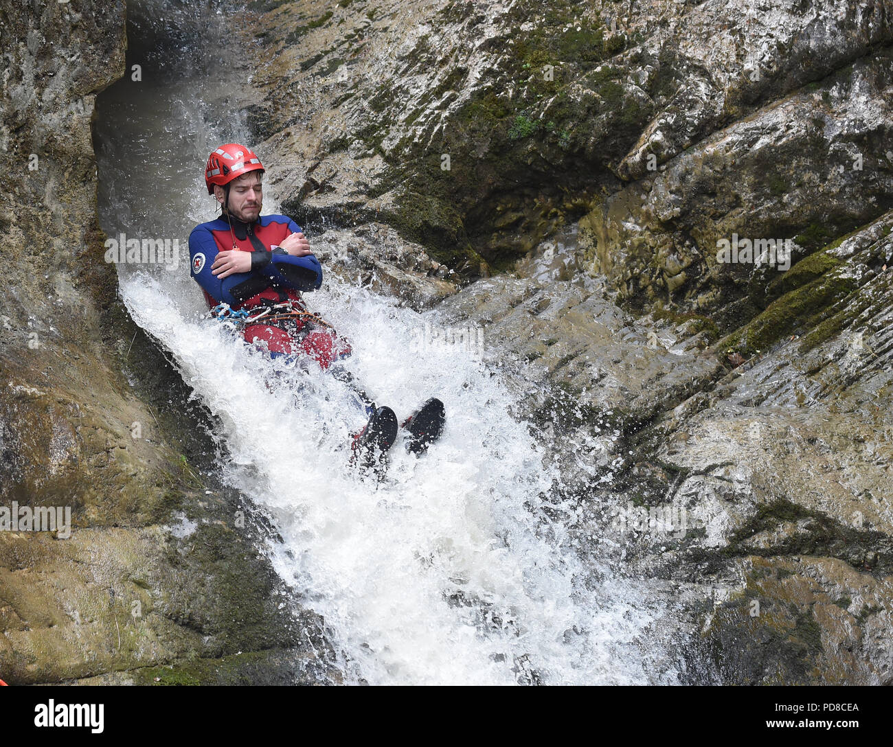 Garmisch partenkirchen cow hi-res stock photography and images - Alamy