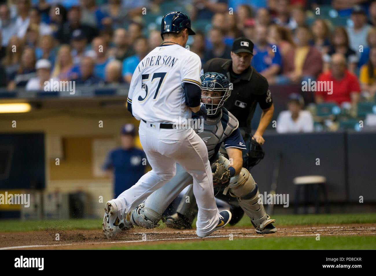 Austin hedges hi-res stock photography and images - Alamy