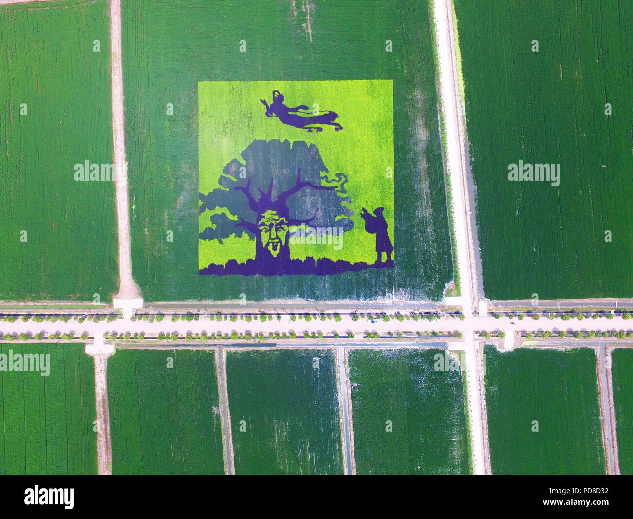 Rice jiangsu china yancheng hi-res stock photography and images - Alamy