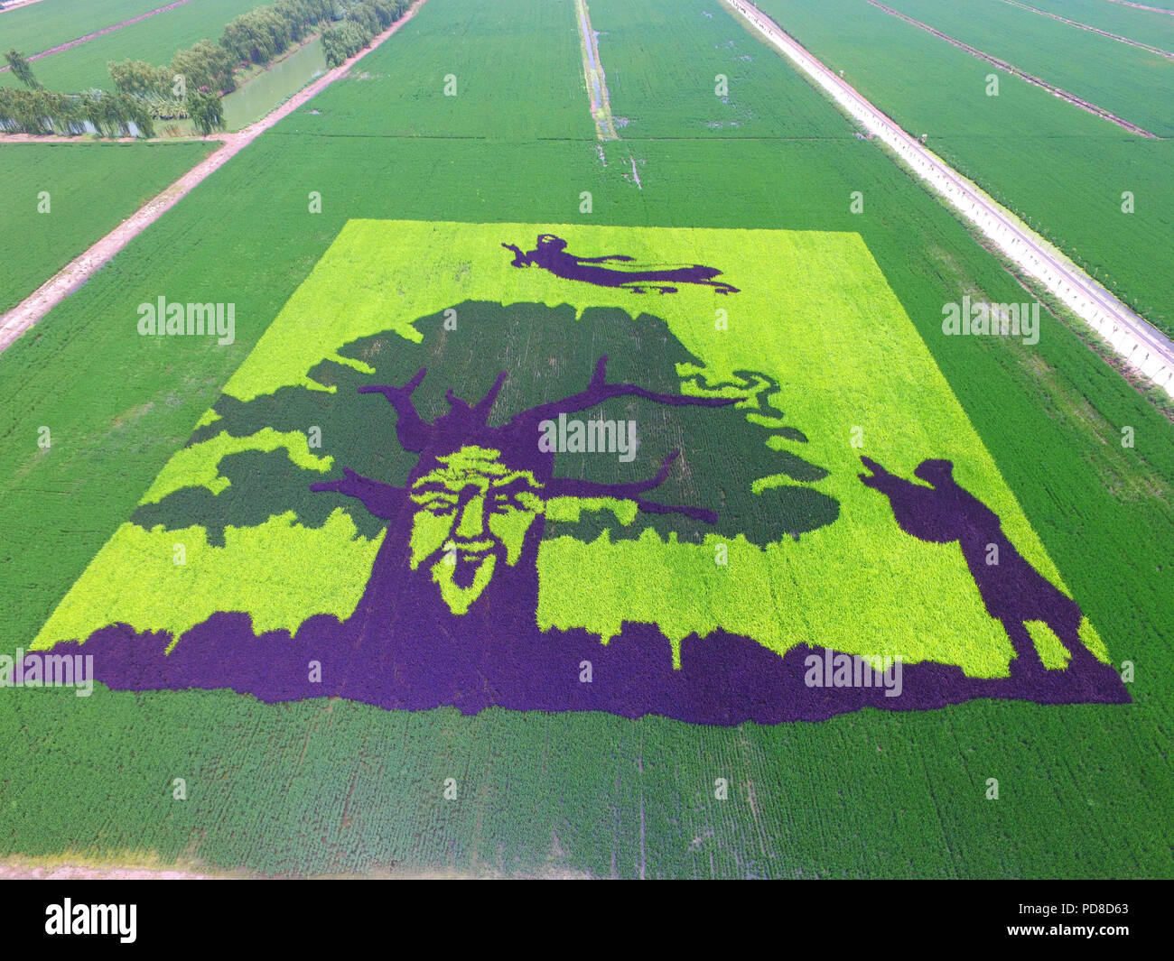 Rice paddy art hi-res stock photography and images - Alamy