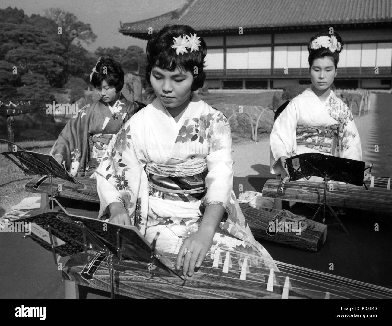 Young girls in Japan, 1963, play on a traditional "Koto" each - a ...