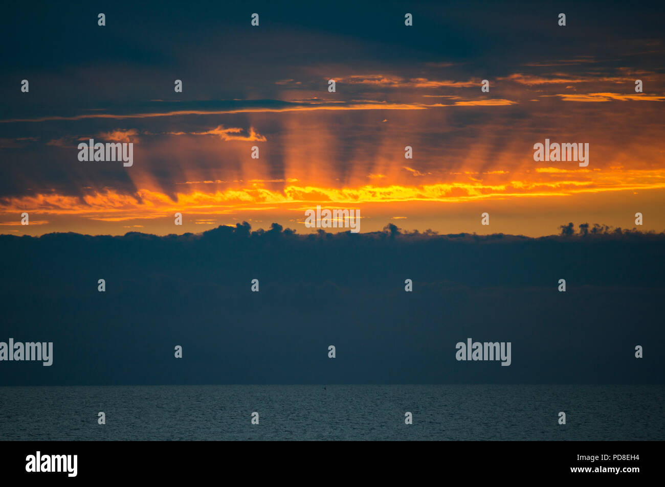 Crepuscular rays (God rays) over the North sea at sunrise. UK Stock ...