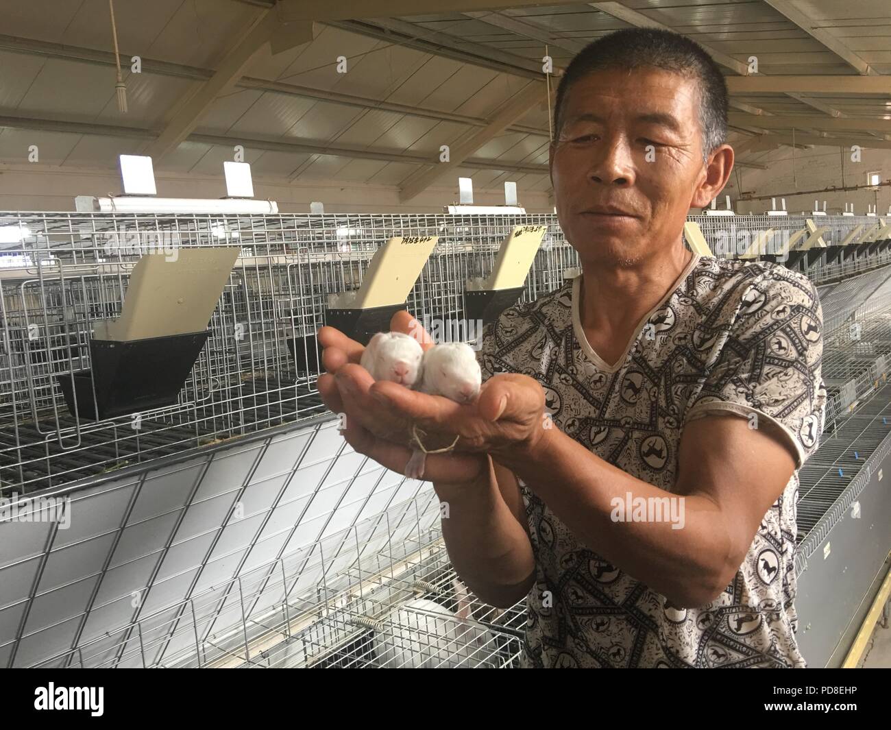 Desert rabbits hi-res stock photography and images - Alamy