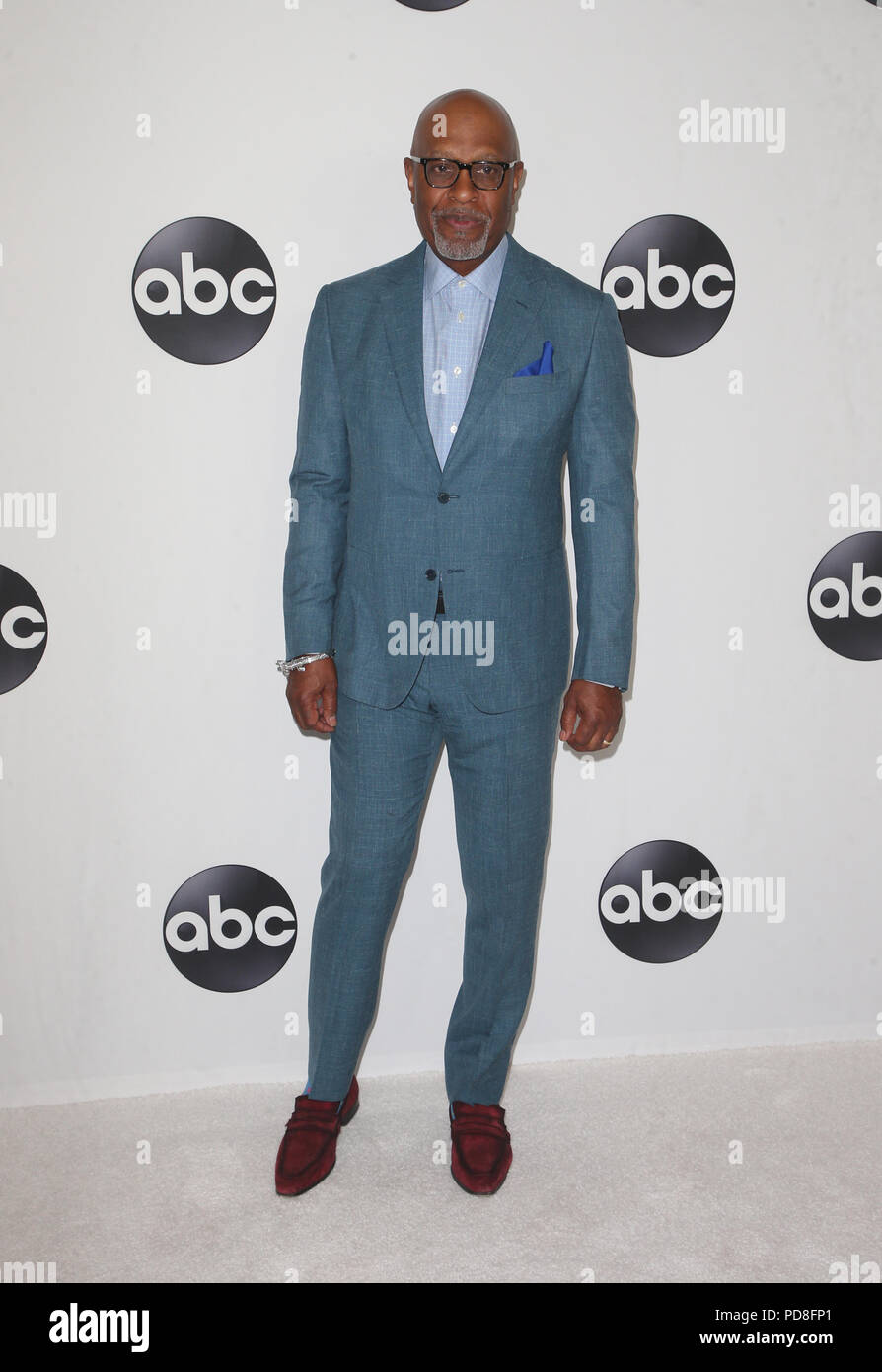 BEVERLY HILLS, CA - August 7: James Pickens Jr., at Disney ABC ...