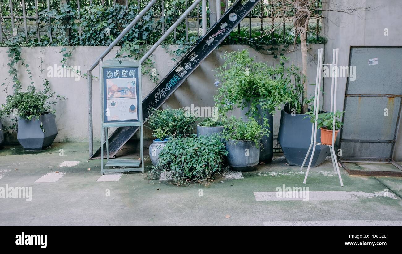 Shanghai, Shanghai, China. 8th Aug, 2018. Shanghai, CHINA-50 Moganshan ...