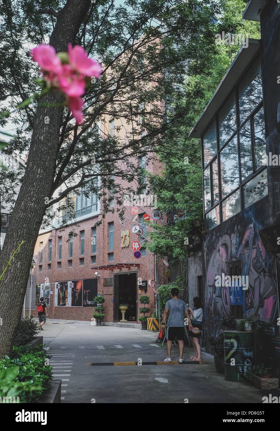 Shanghai, Shanghai, China. 8th Aug, 2018. Shanghai, CHINA-50 Moganshan ...