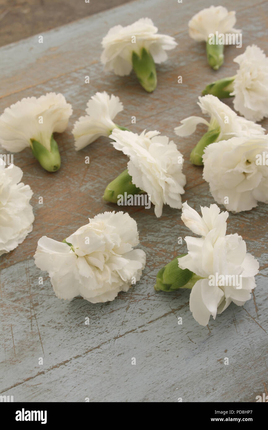 Edible carnation flowers hi-res stock photography and images - Alamy