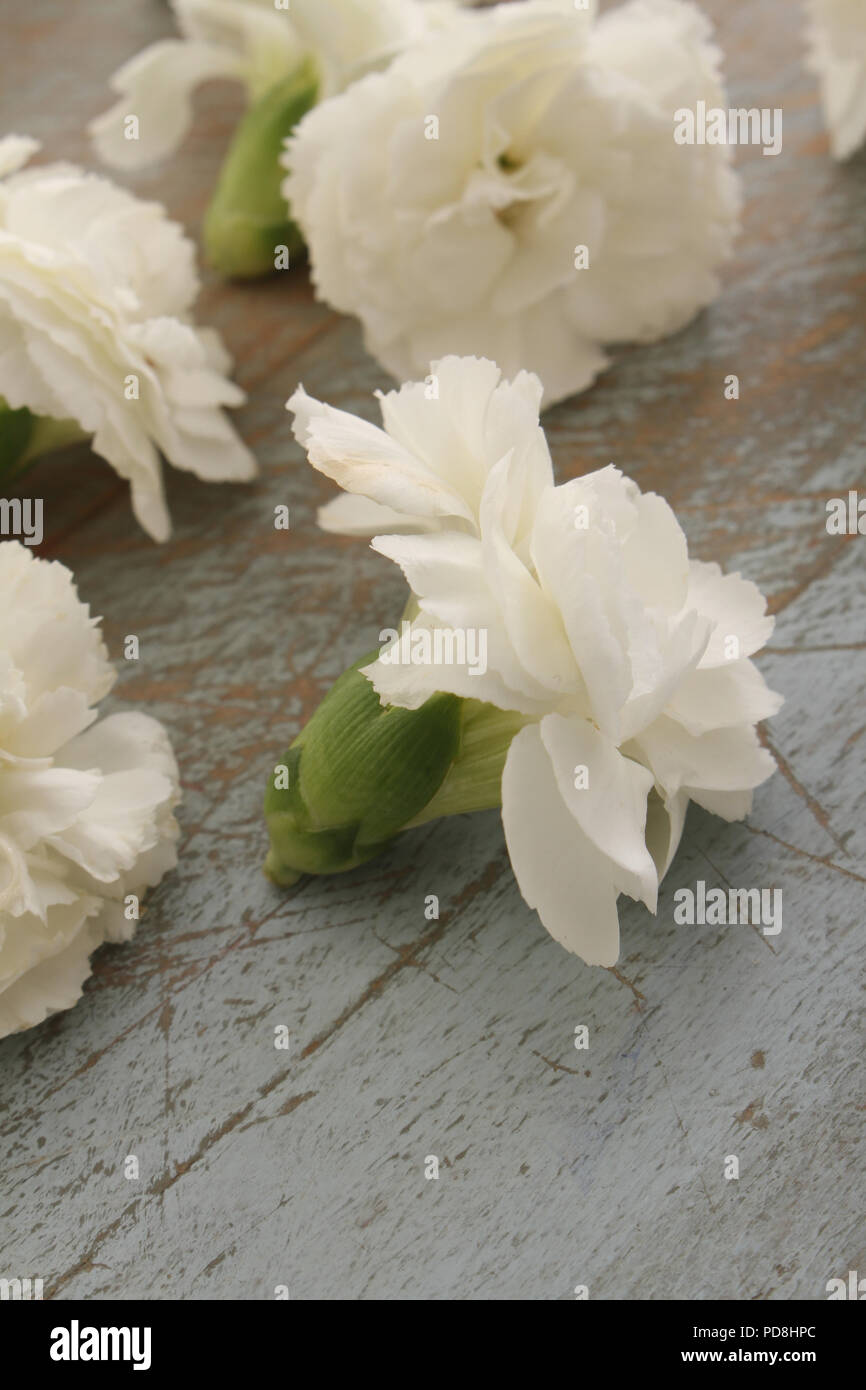Edible carnation flowers hi-res stock photography and images - Alamy