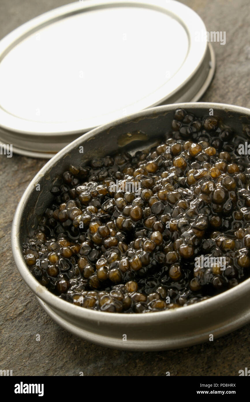 Caviar tin hi-res stock photography and images - Alamy