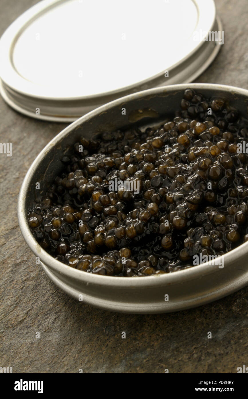 Caviar tin hi-res stock photography and images - Alamy