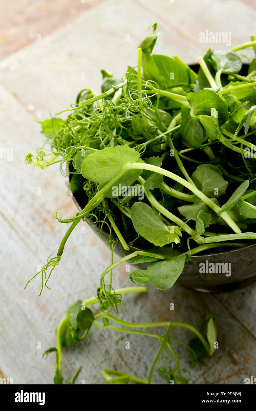 preparing fresh pea shoots Stock Photo - Alamy