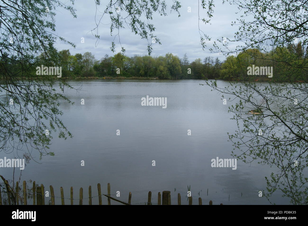Glass lake hi-res stock photography and images - Alamy
