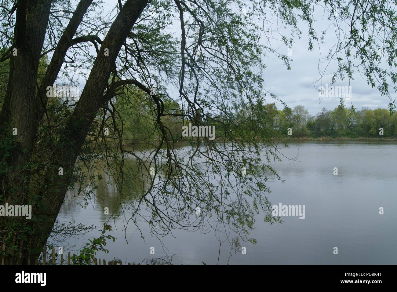 Glass lake hi-res stock photography and images - Alamy