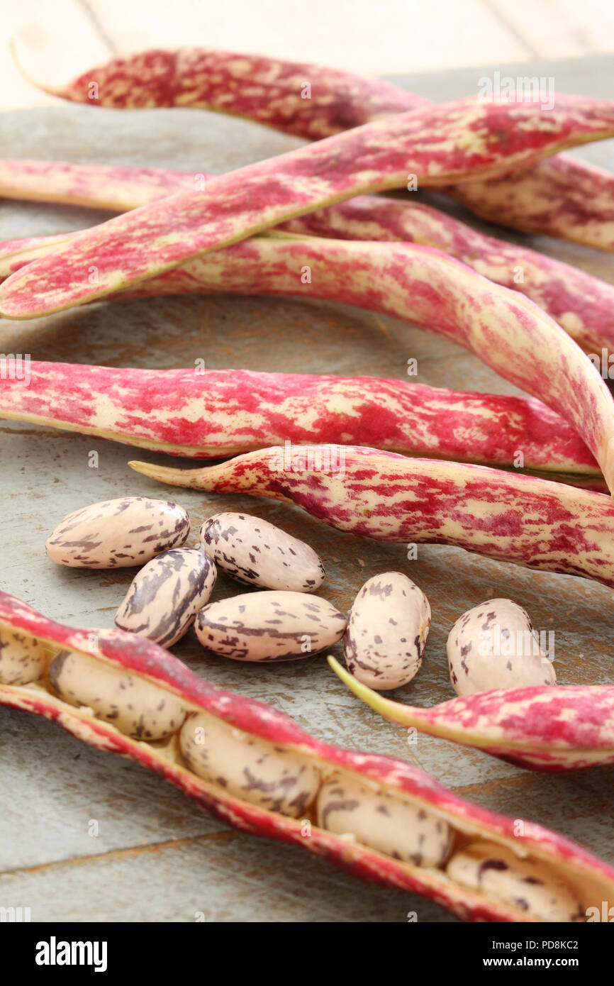 Fresh saluggia bean hi-res stock photography and images - Alamy