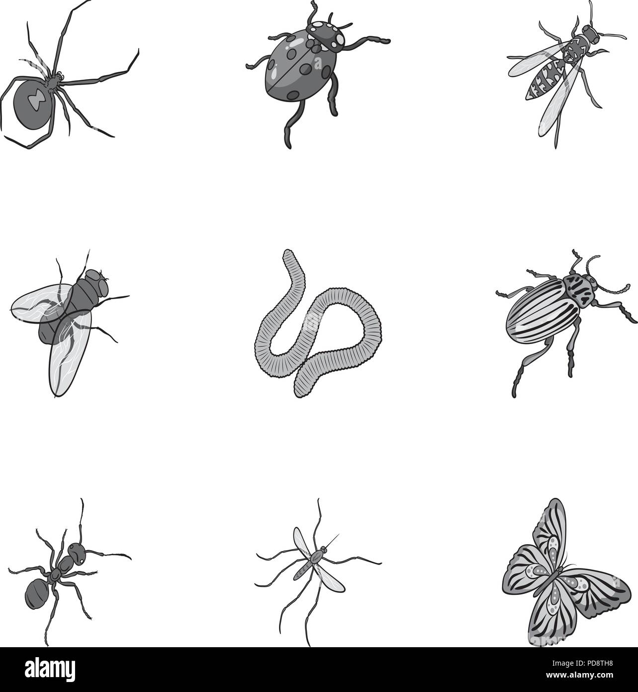 Species of stinging insects Stock Vector Images - Alamy