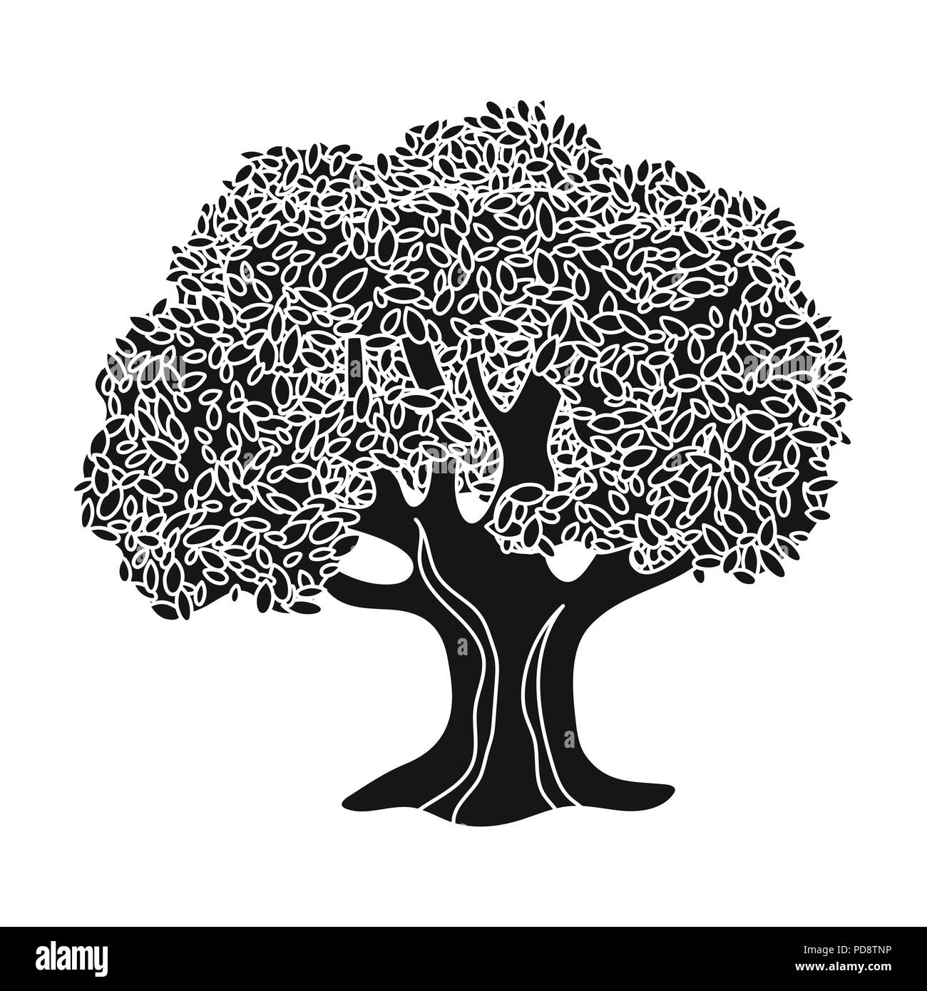 Chinesejujubetree hi-res stock photography and images - Alamy