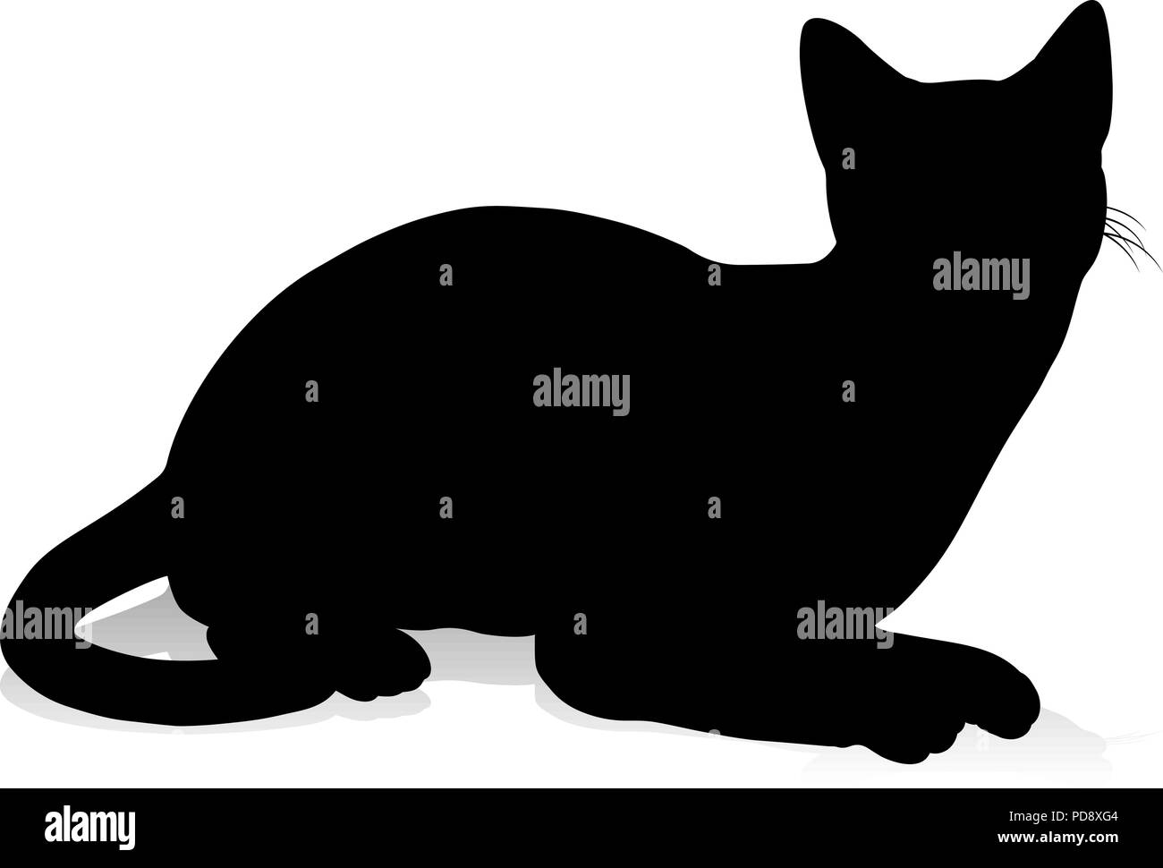 White cat pet animal Cut Out Stock Images & Pictures - Alamy