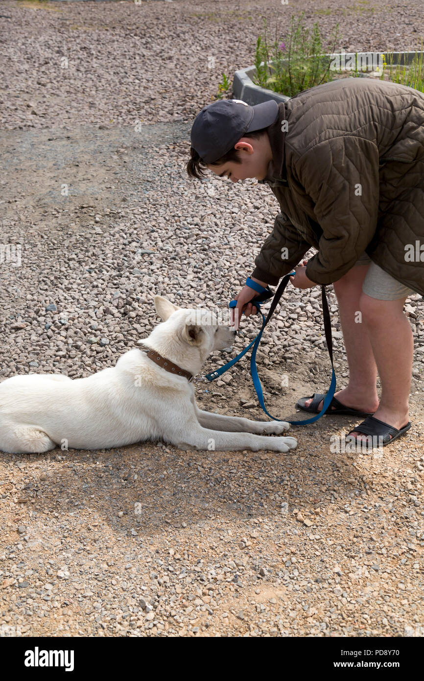 Pet exercises hi-res stock photography and images - Alamy