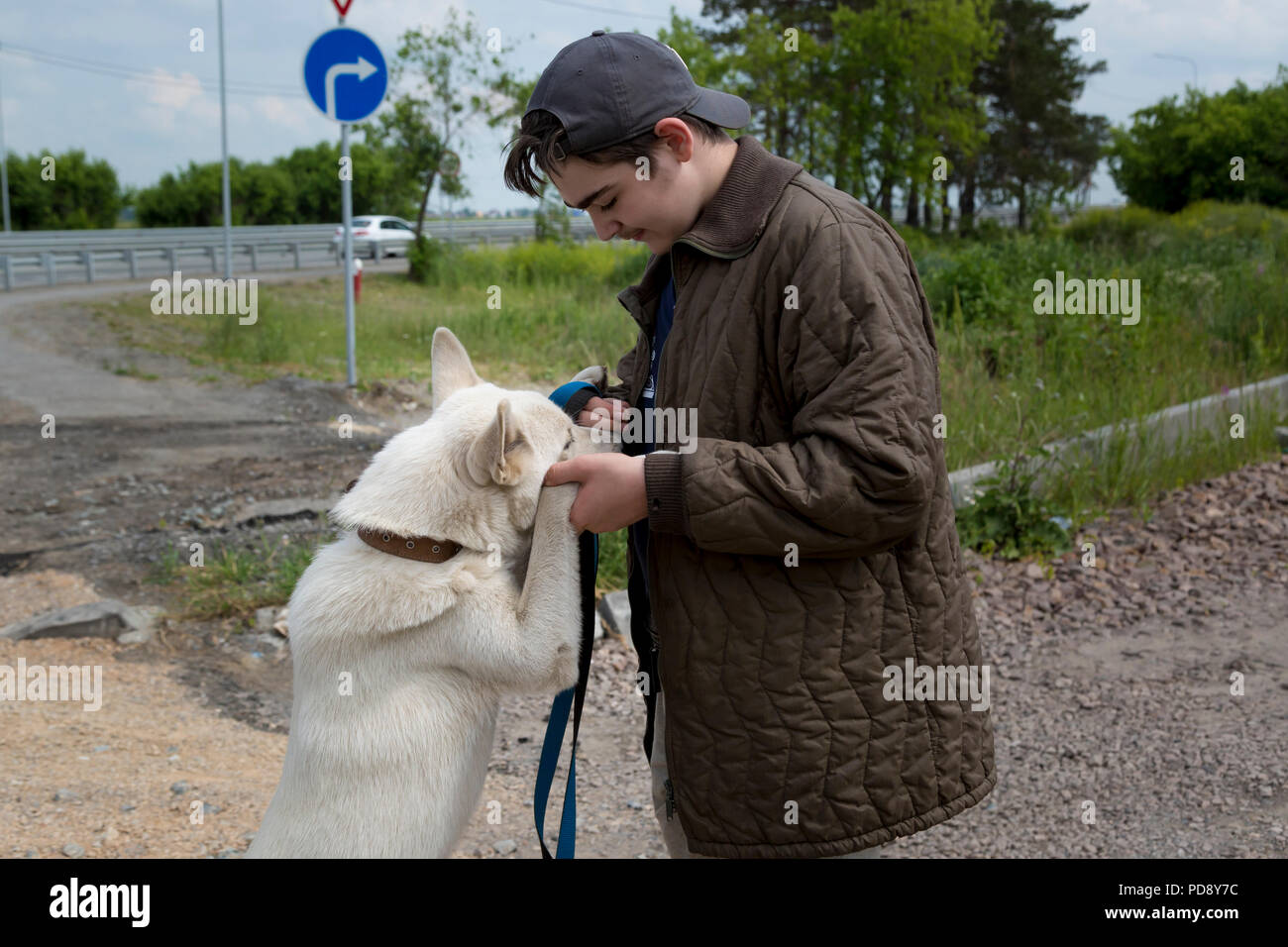 A boy performs exercises for training a dog like husky Stock Photo - Alamy