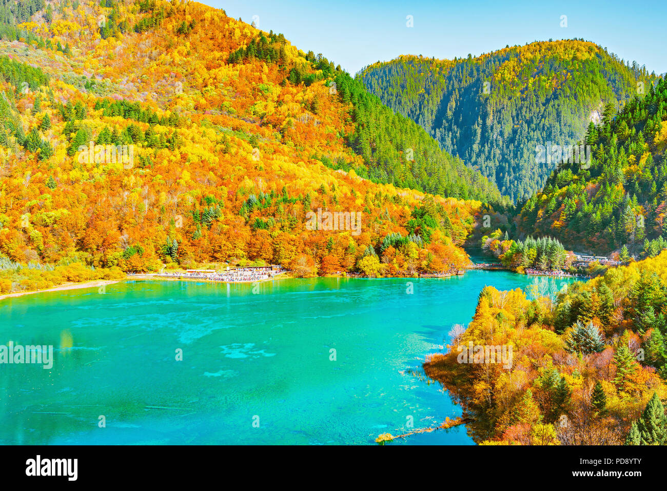 Aerial view of Five Flower Lake at autumn sunrise time. Jiuzhaigou ...