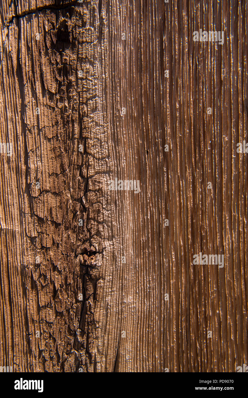 Rough wood knot hi-res stock photography and images - Alamy