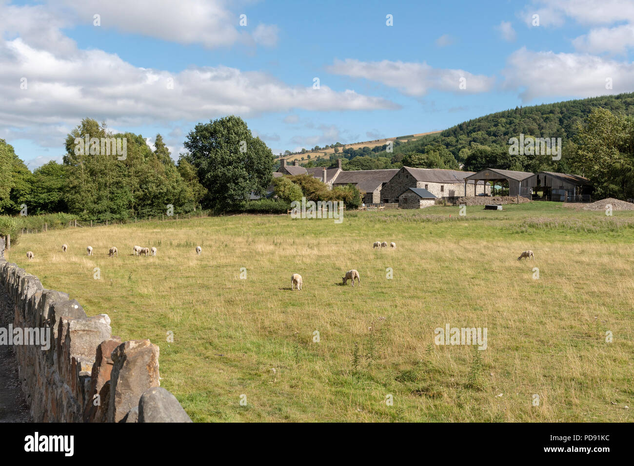 Farm buildings at Carrog in the Llangollen Valley, Denbighshire, North ...