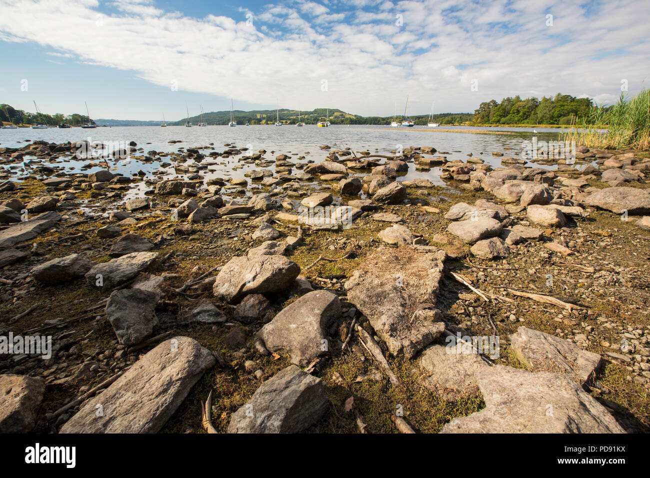 Receding shoreline hi-res stock photography and images - Alamy