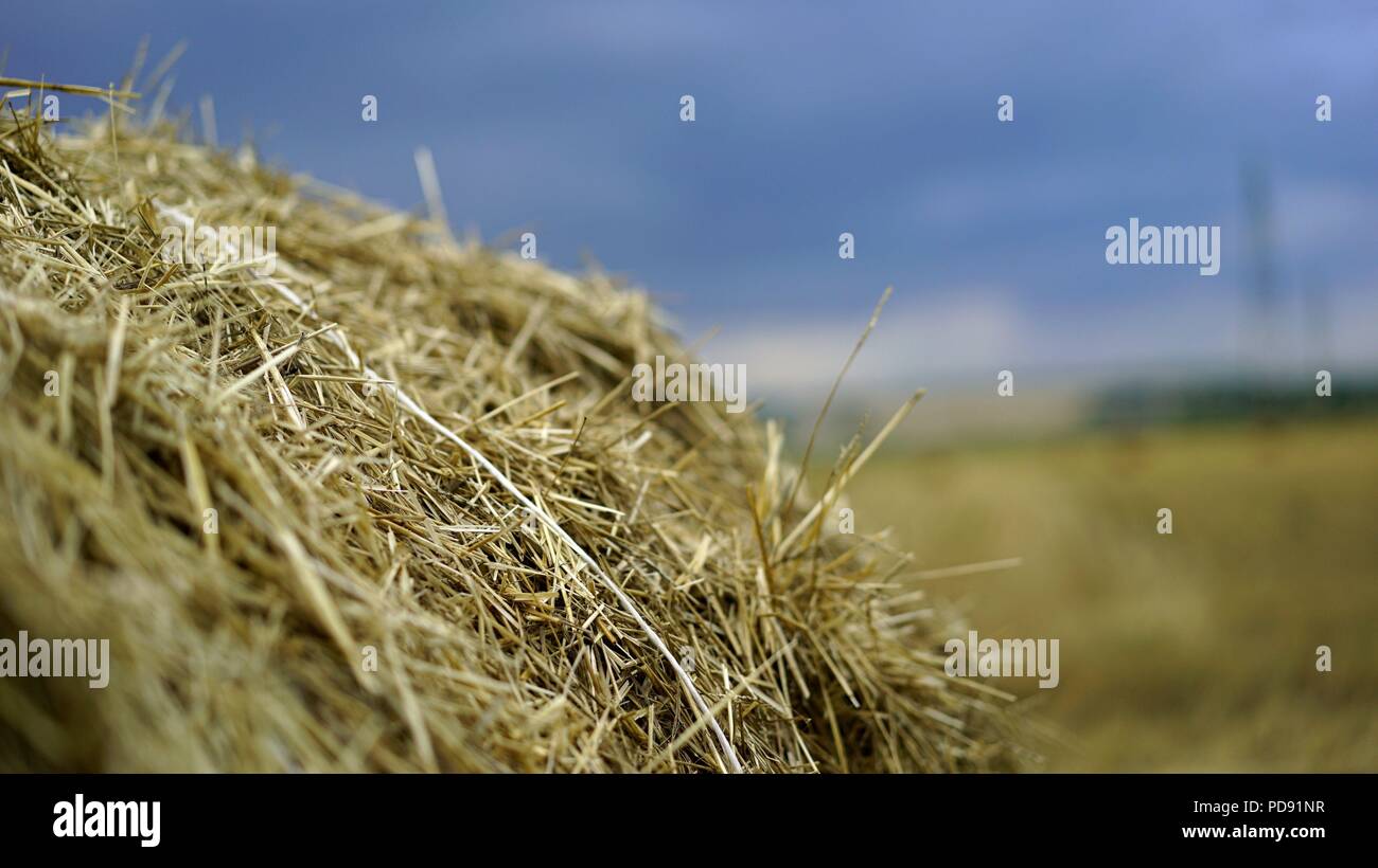Aerial - A haystack in the field. Harvesting, agriculture, straw Stock ...