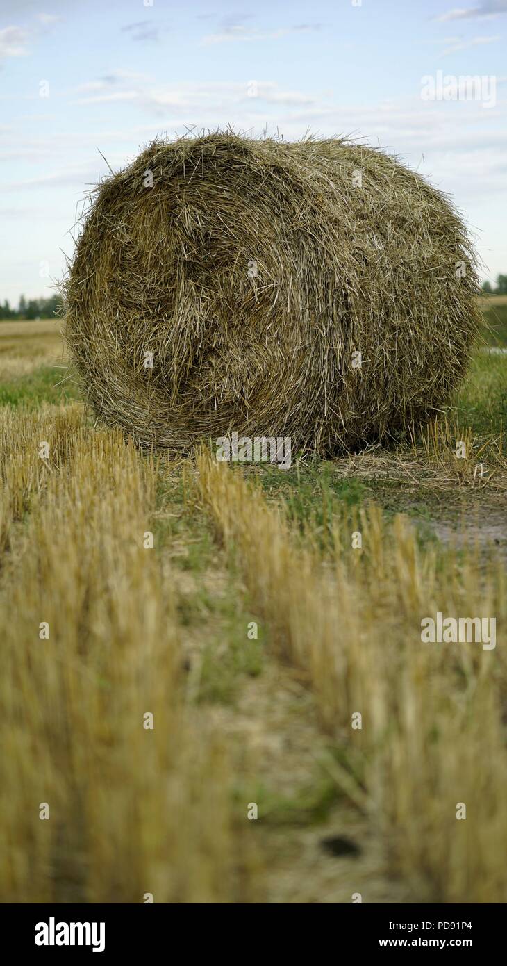 Agriculture roll haystack hi-res stock photography and images - Alamy