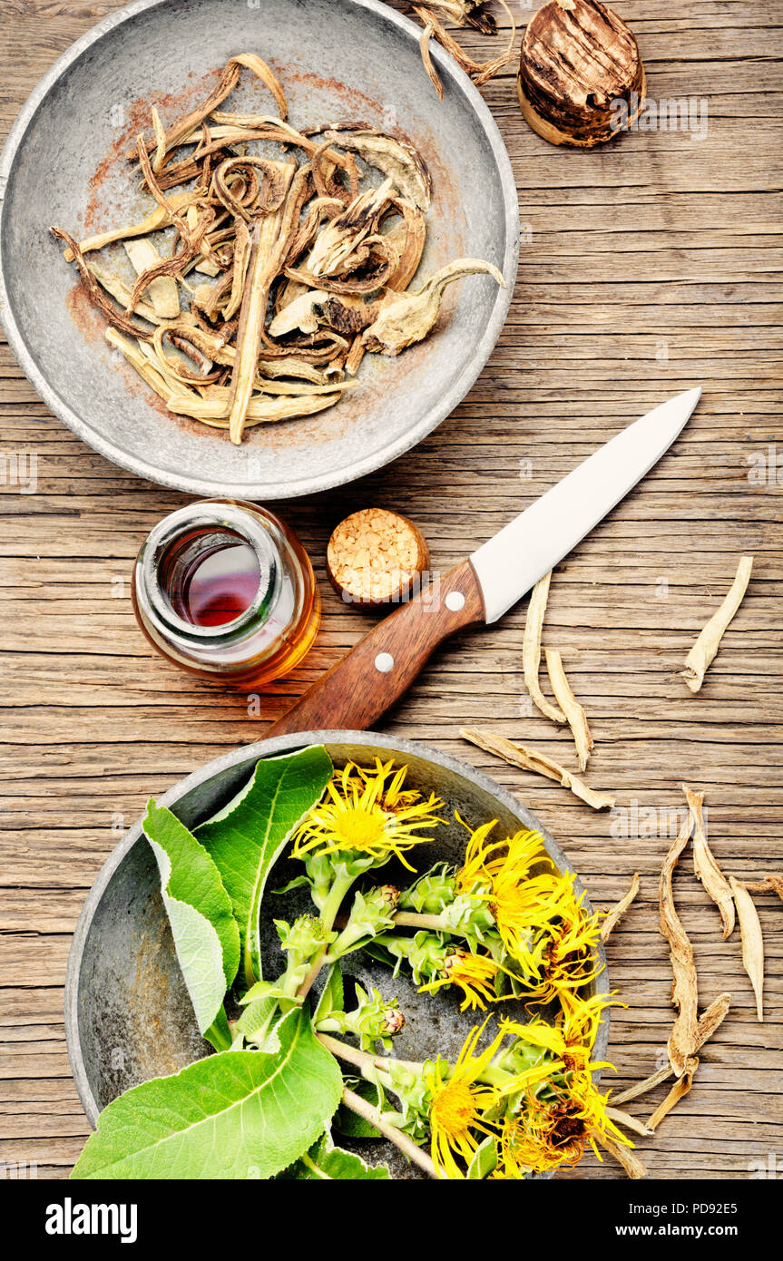 Healing elixir from the root of inula.Alternative medicine concept ...