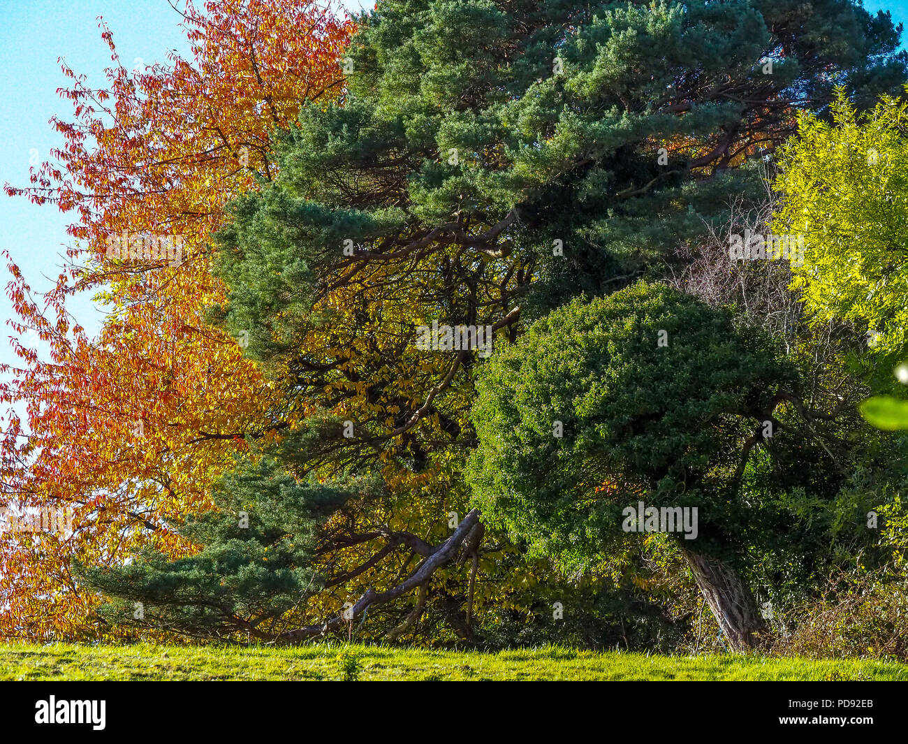 Colours of ireland hi-res stock photography and images - Alamy