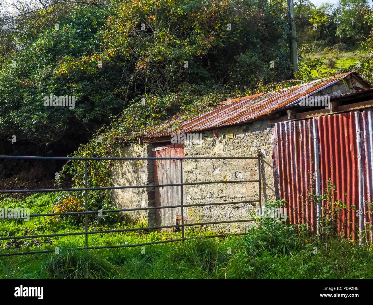 Ireland barn hi-res stock photography and images - Alamy