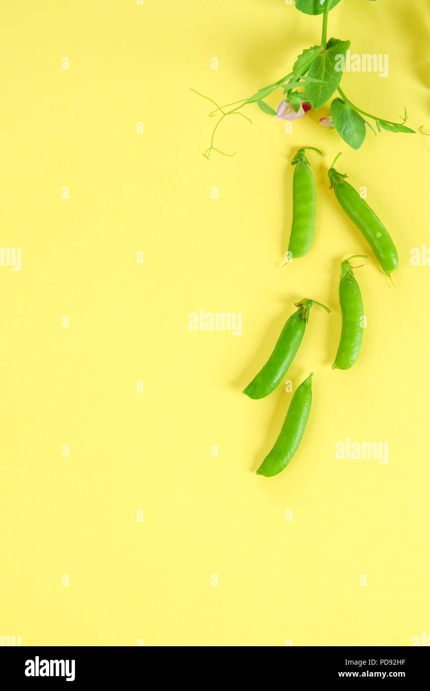 Peas, pods, leaves and pea flowers on a light pastel background. Floral ...