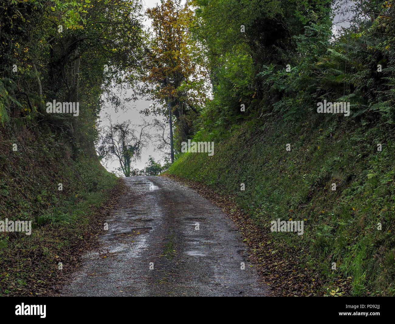 Famine road hi-res stock photography and images - Alamy