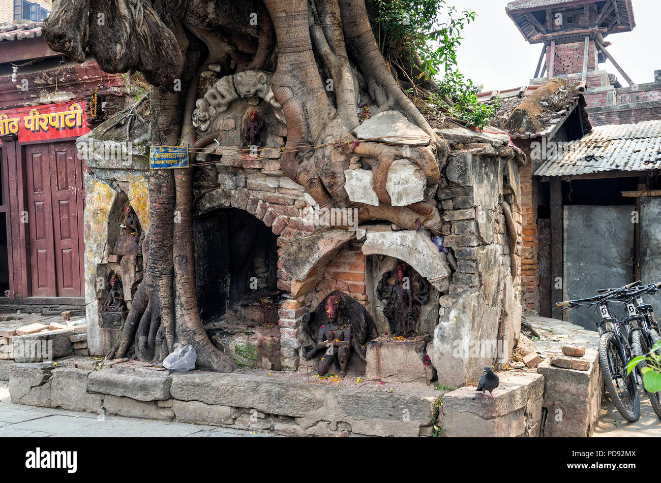 Hindu Tree shrine at street around Kathmandu Durbar Square, Nepal ...