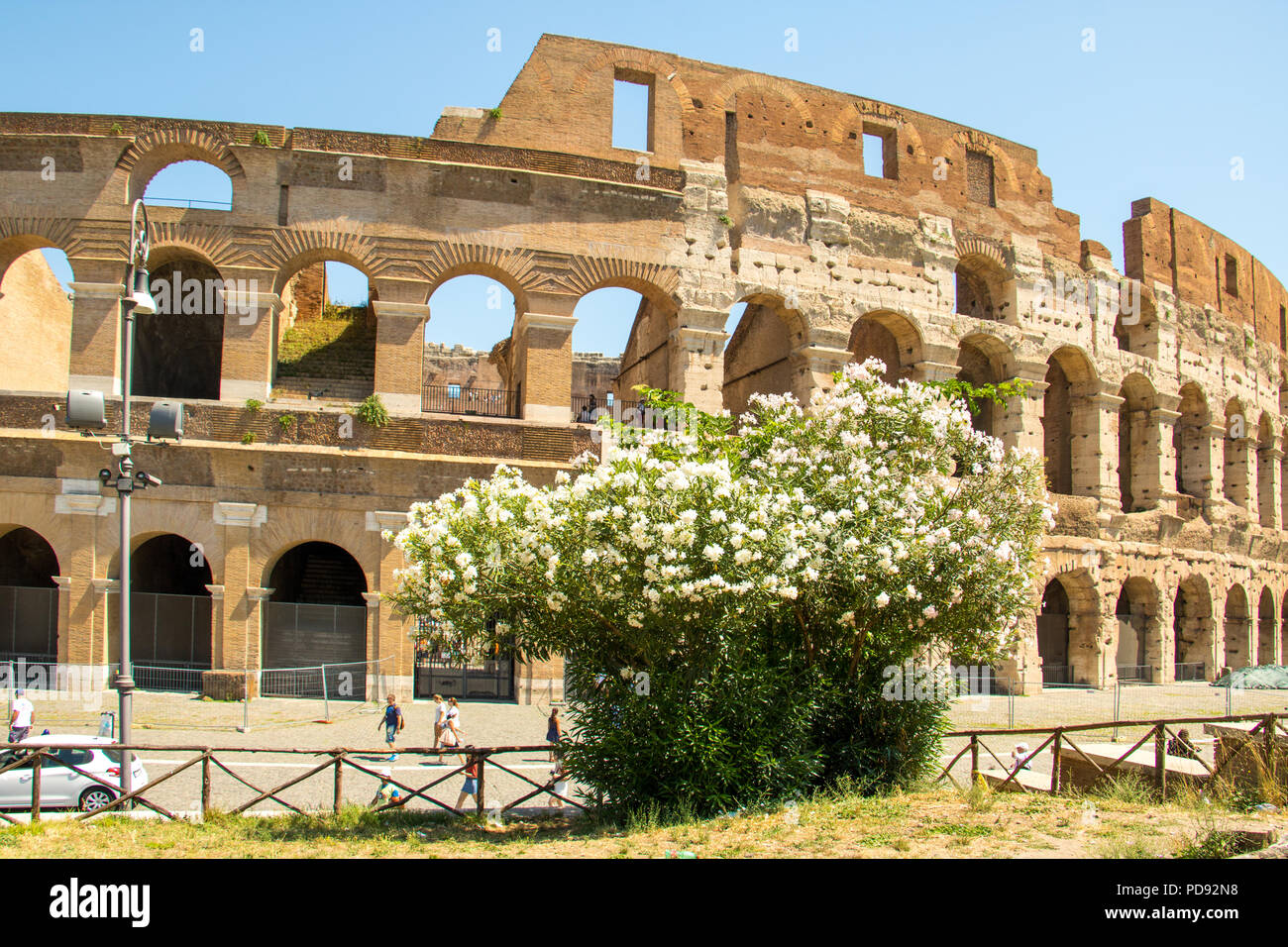 The Colosseum is an iconic symbol of ancient Rome - the huge stadium ...