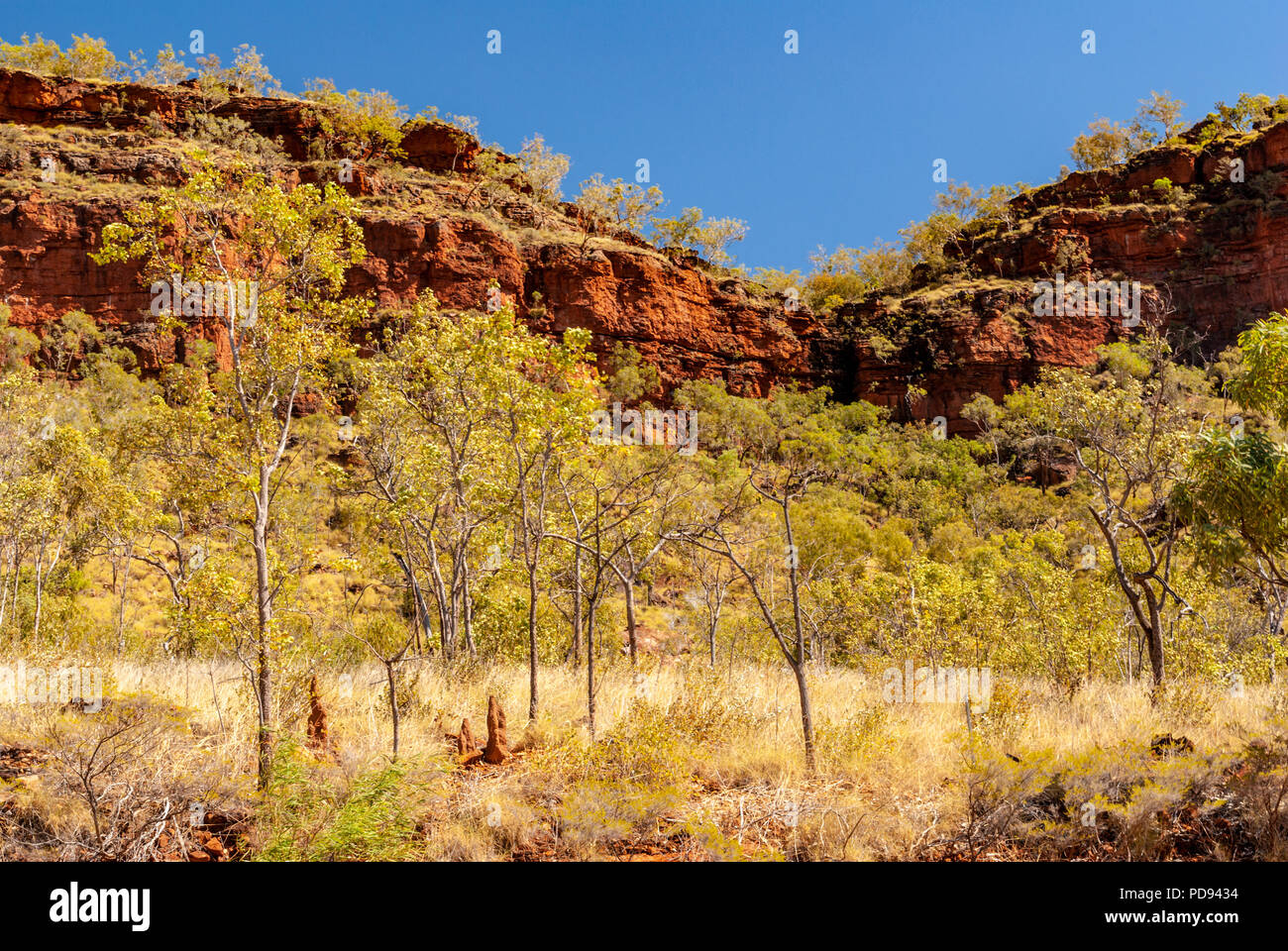 JUDBARRA NATIONAL PARK FORMERLY GREGORY NATIONAL PARK NORTHERN ...