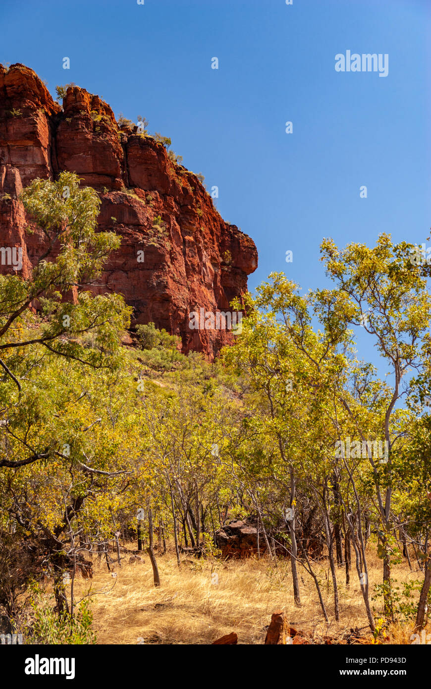KEEP RIVER NATIONAL PARK, NORTHERN TERRITORIES, AUSTRALIA Stock Photo ...