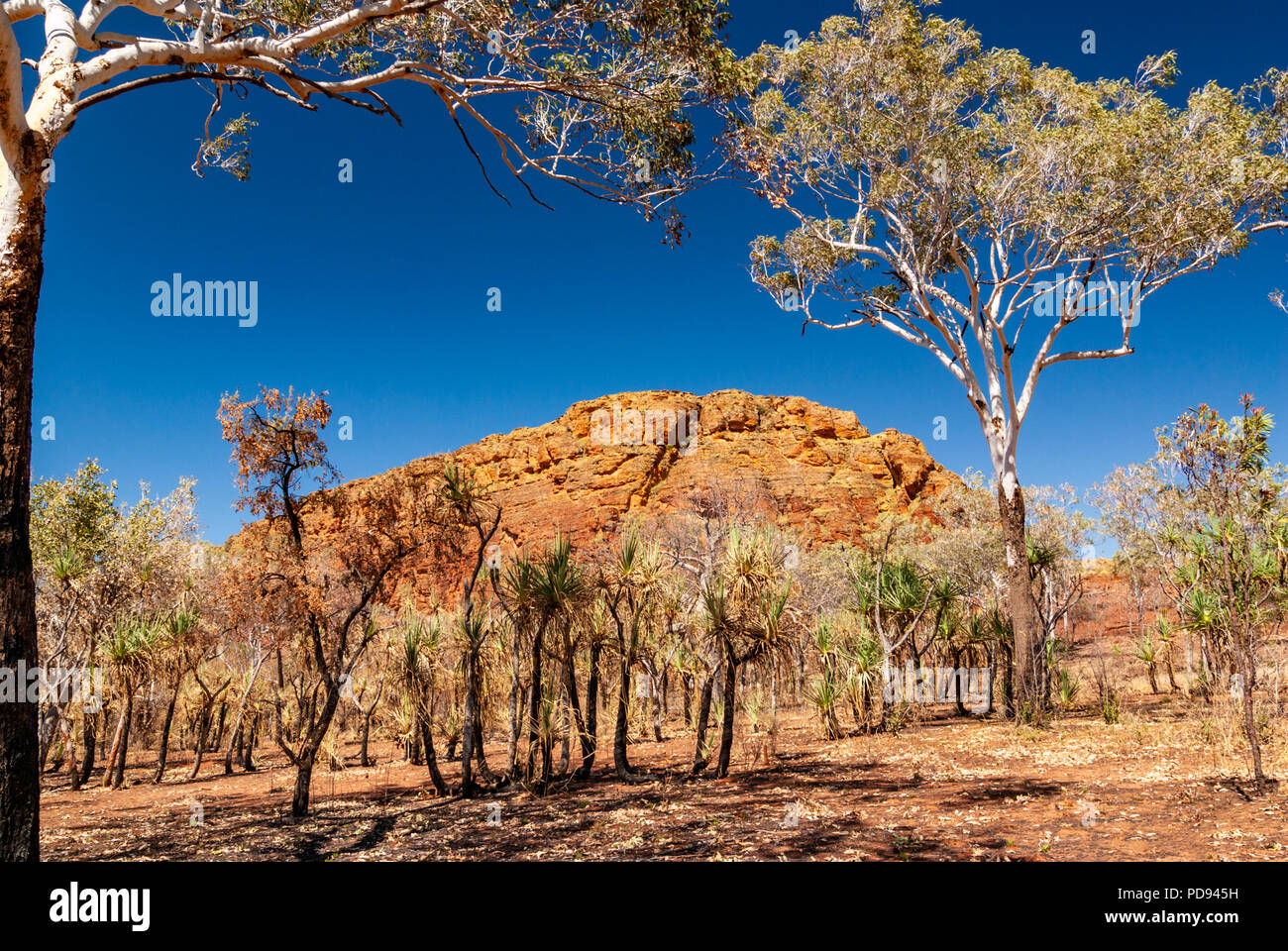 KEEP RIVER NATIONAL PARK, NORTHERN TERRITORIES, AUSTRALIA Stock Photo ...