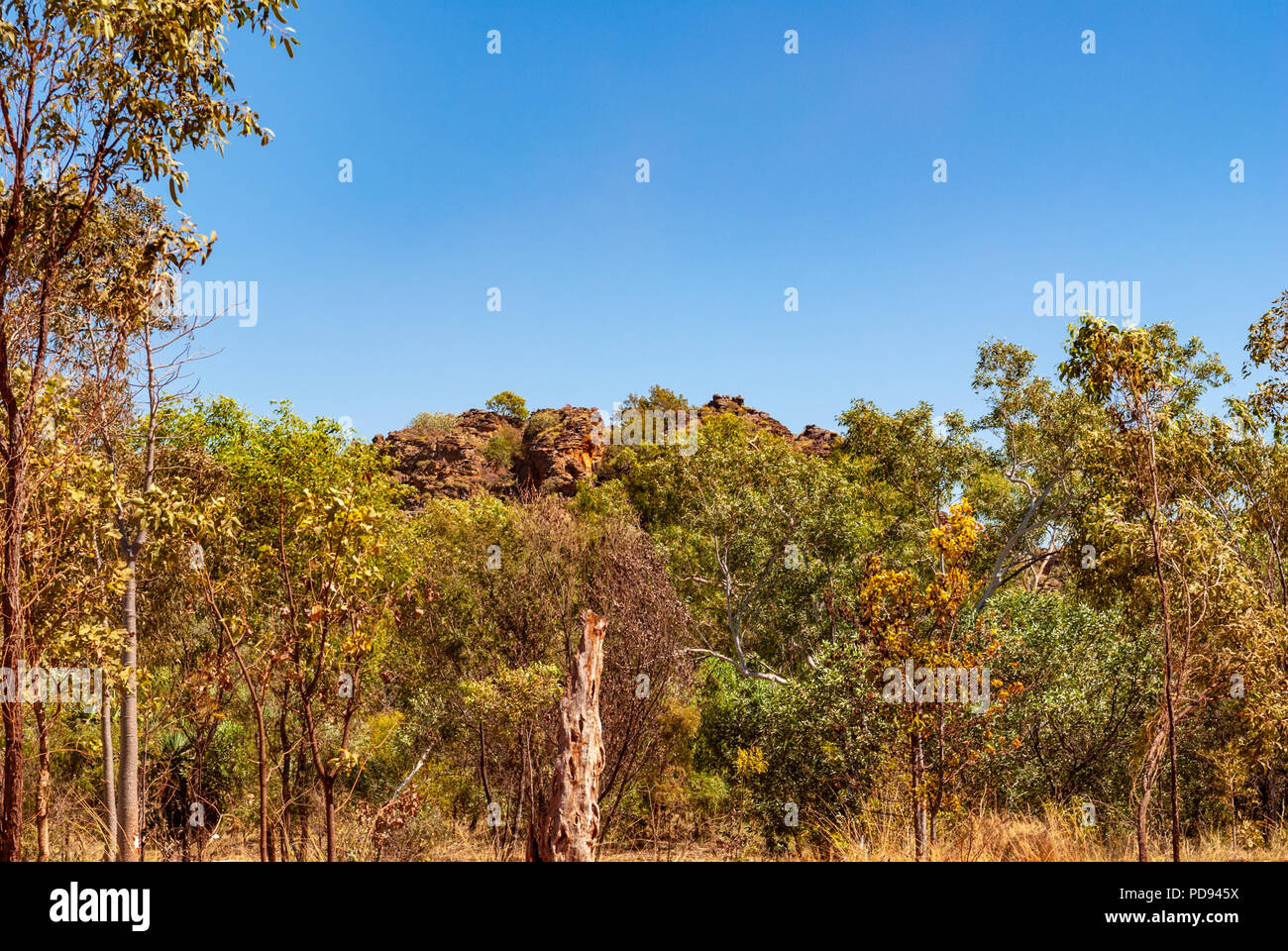 KEEP RIVER NATIONAL PARK, NORTHERN TERRITORIES, AUSTRALIA Stock Photo ...