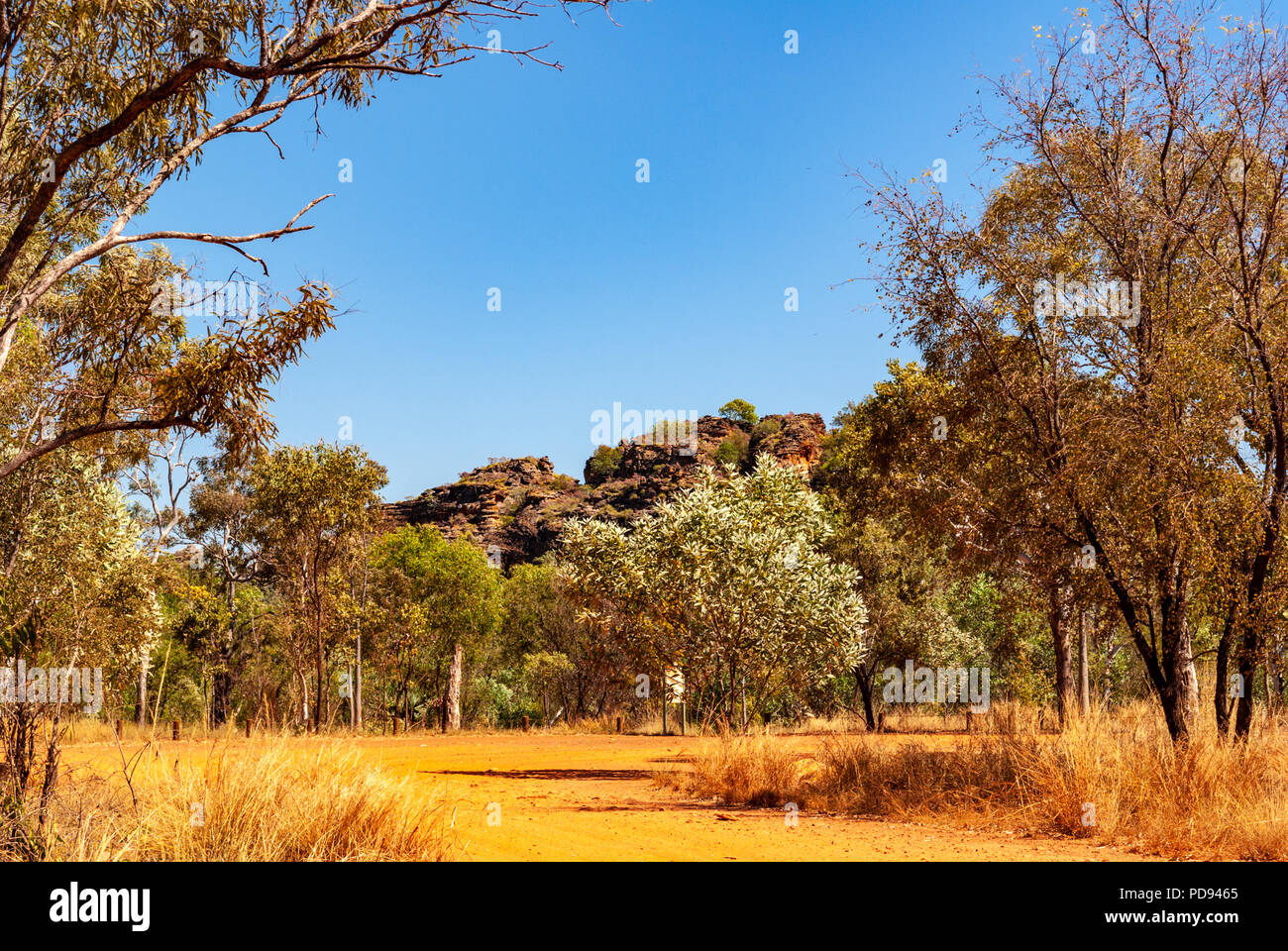 KEEP RIVER NATIONAL PARK, NORTHERN TERRITORIES, AUSTRALIA Stock Photo ...