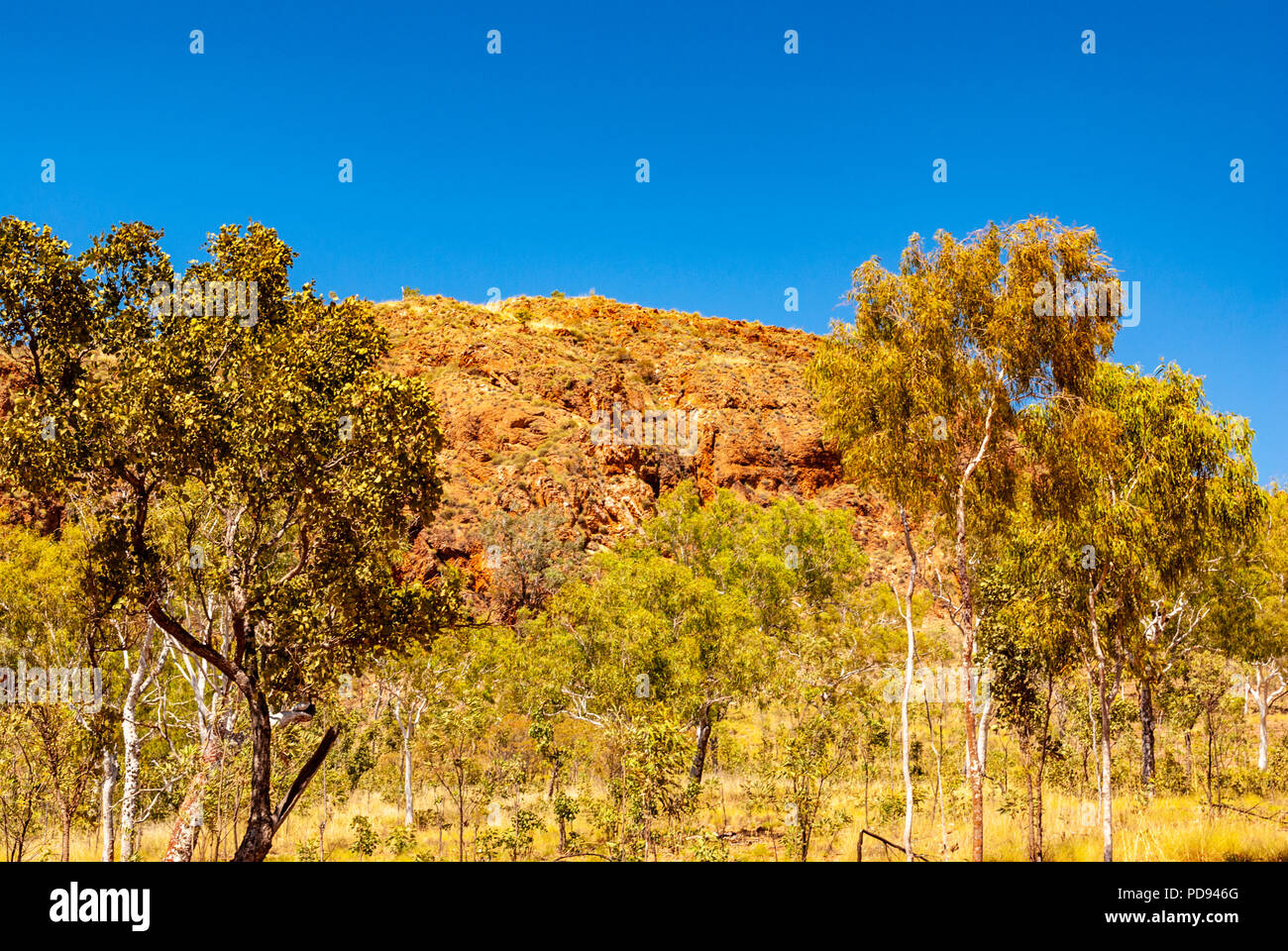 KEEP RIVER NATIONAL PARK, NORTHERN TERRITORIES, AUSTRALIA Stock Photo ...