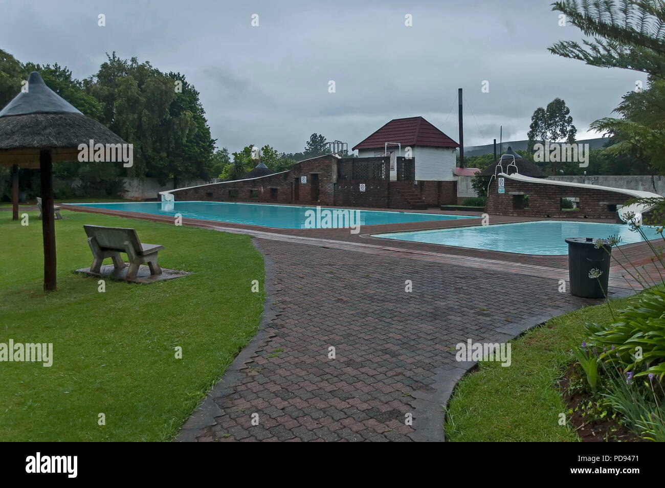 South africa tree trees water hi-res stock photography and images - Alamy