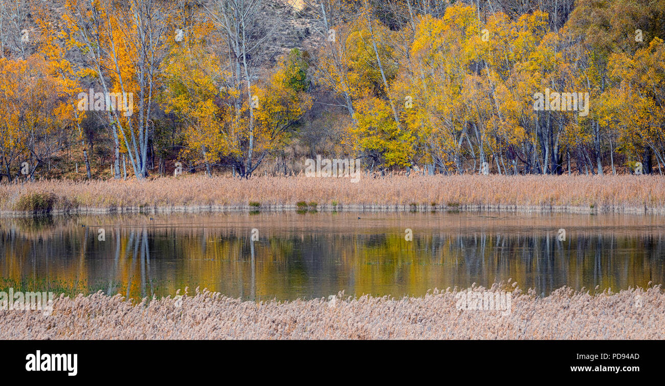 Cuenca village hi-res stock photography and images - Alamy
