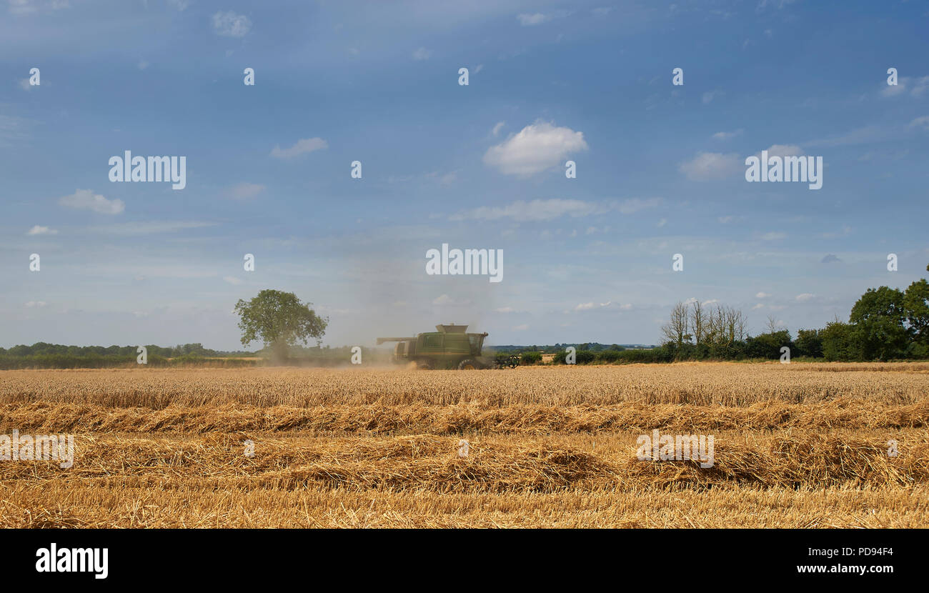 John Deere Combine Harvester cutting wheat in the East Riding of ...
