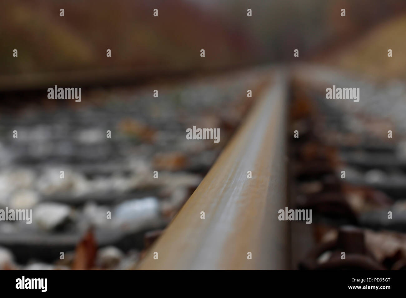 Train tracks in nature on the country side Stock Photo - Alamy