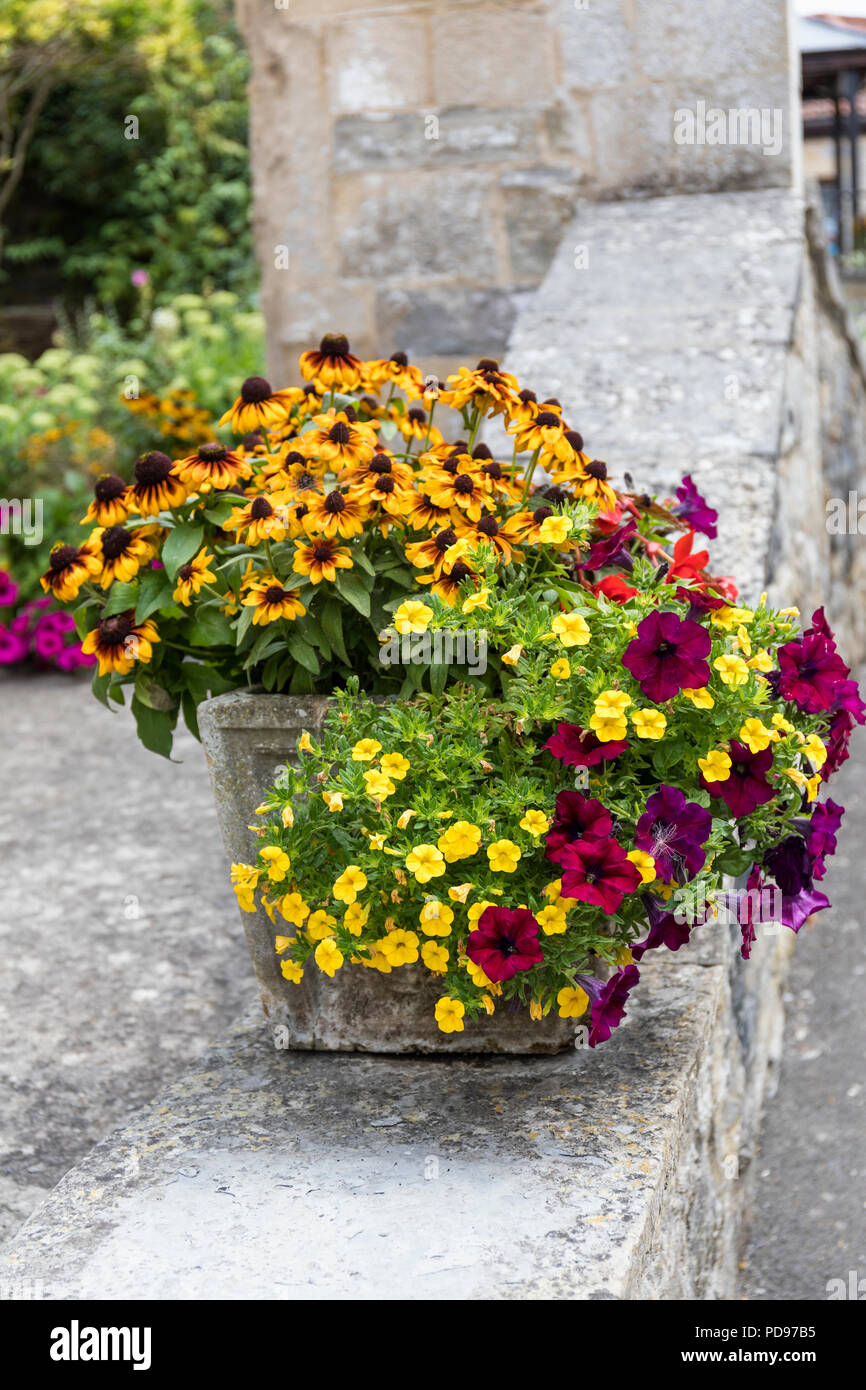 Summer floral display hi-res stock photography and images - Alamy