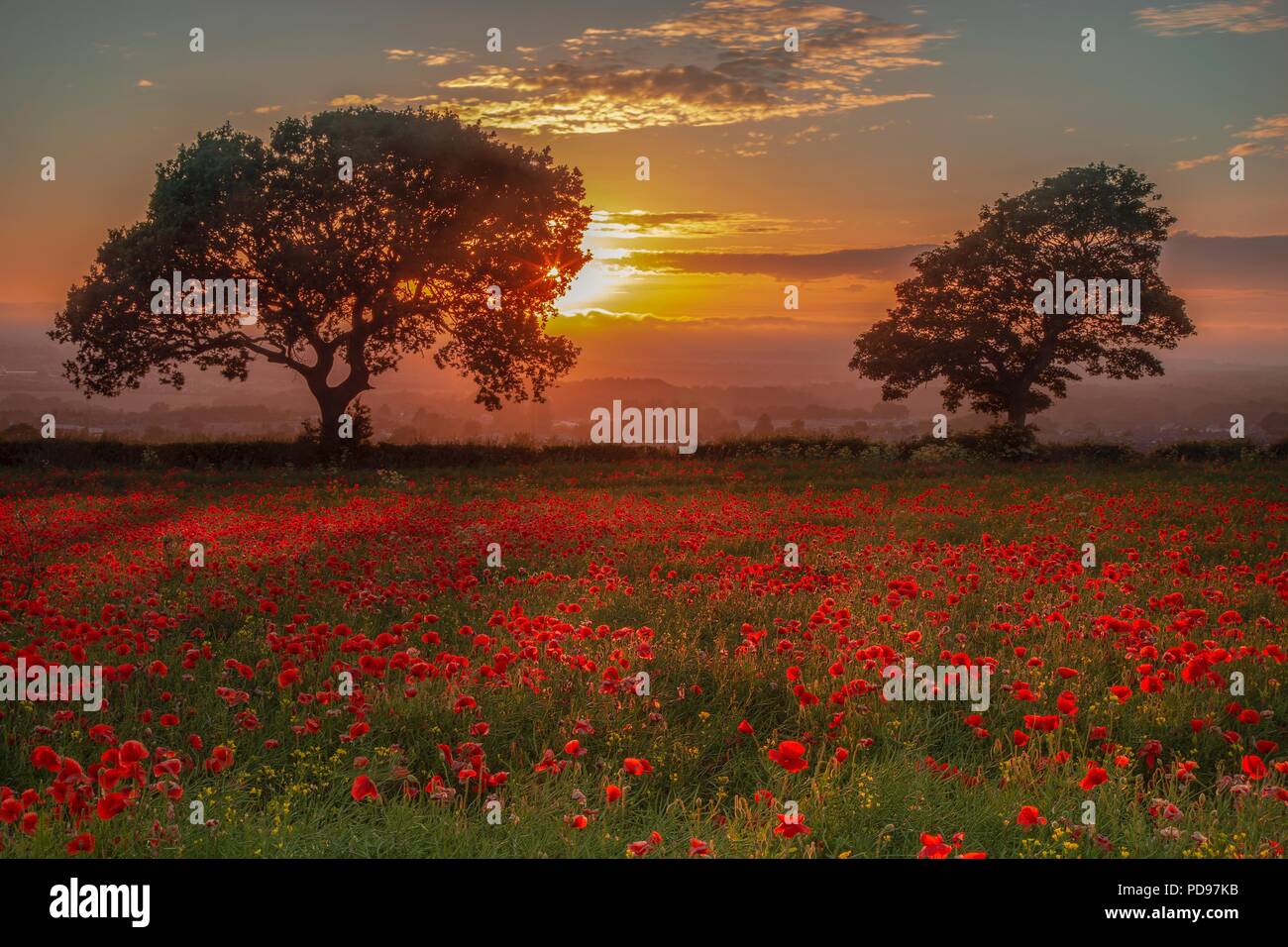 Sunset or sundown is the daily disappearance of the Sun below the ...