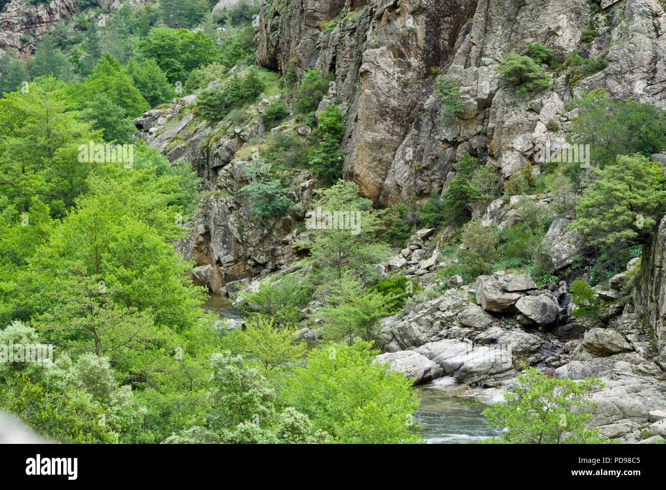 romantic river between trees and rocks Stock Photo - Alamy